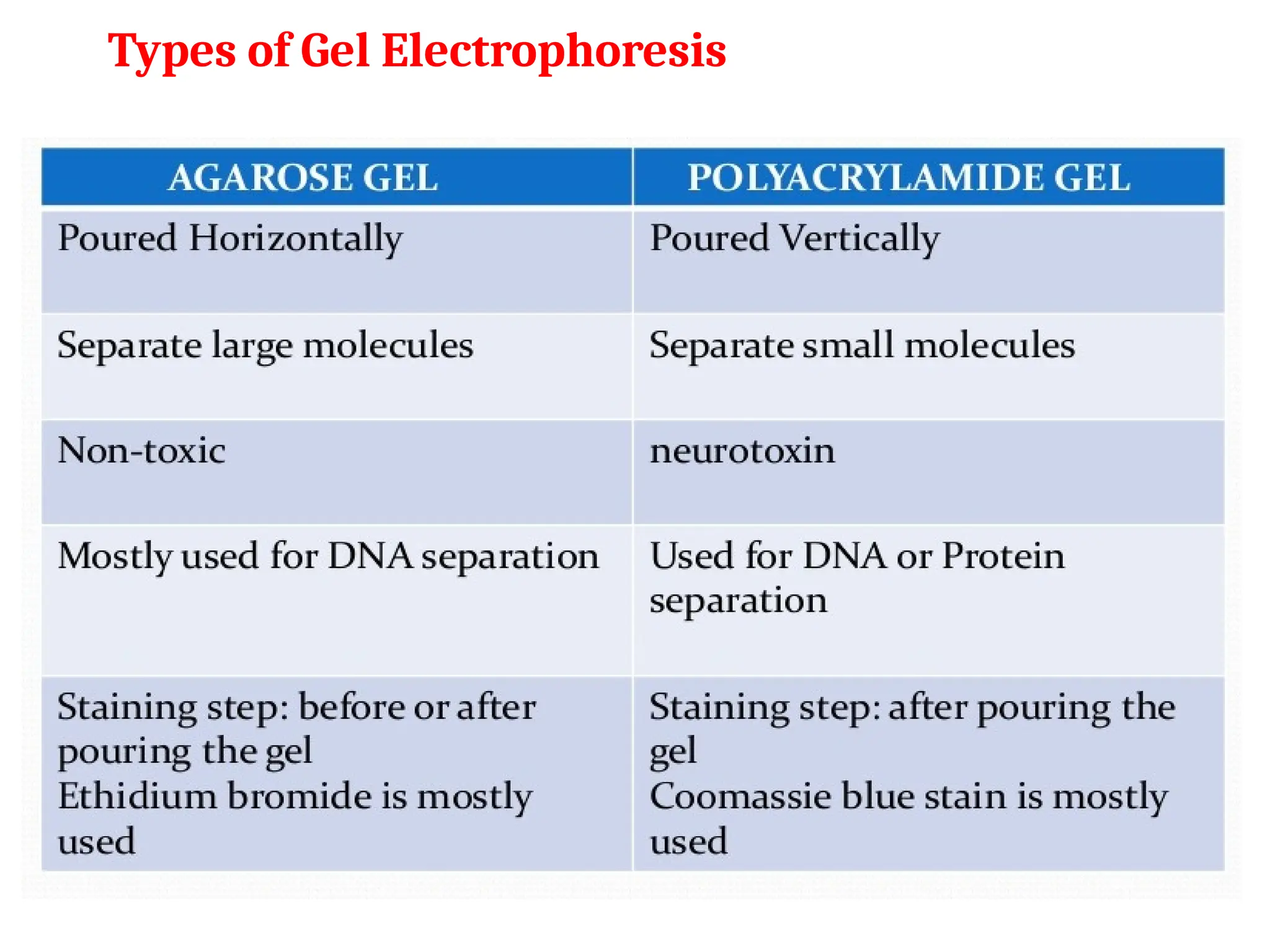 Electrophoresis. separation of proteins ppt | PPTX | Chemistry | Science