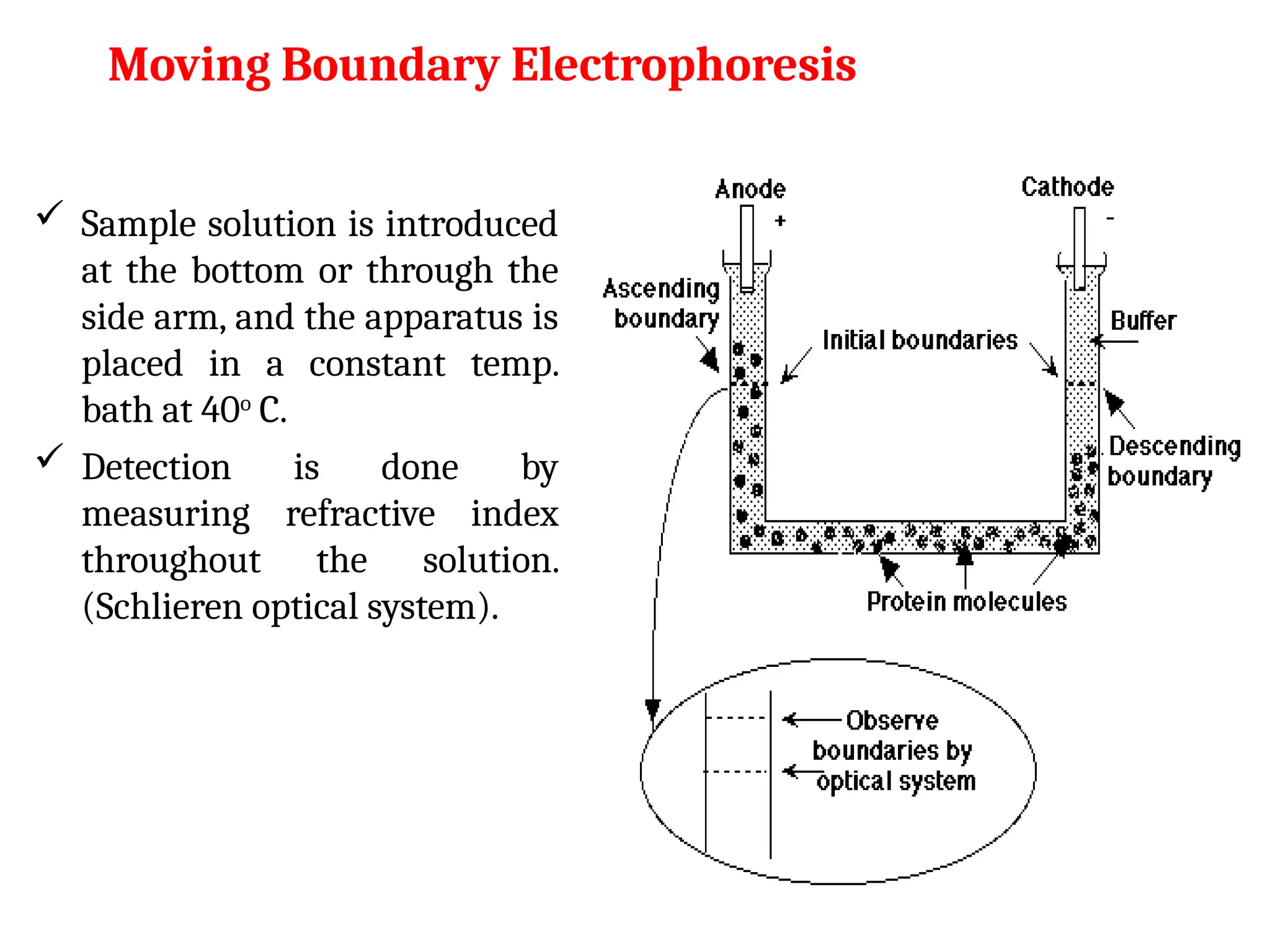 Electrophoresis. separation of proteins ppt | PPTX