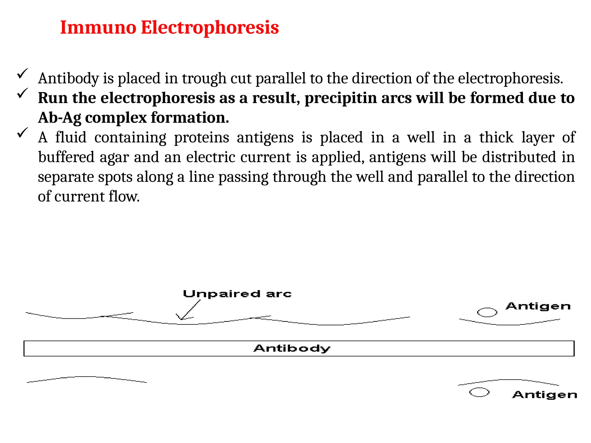Electrophoresis. separation of proteins ppt | PPTX