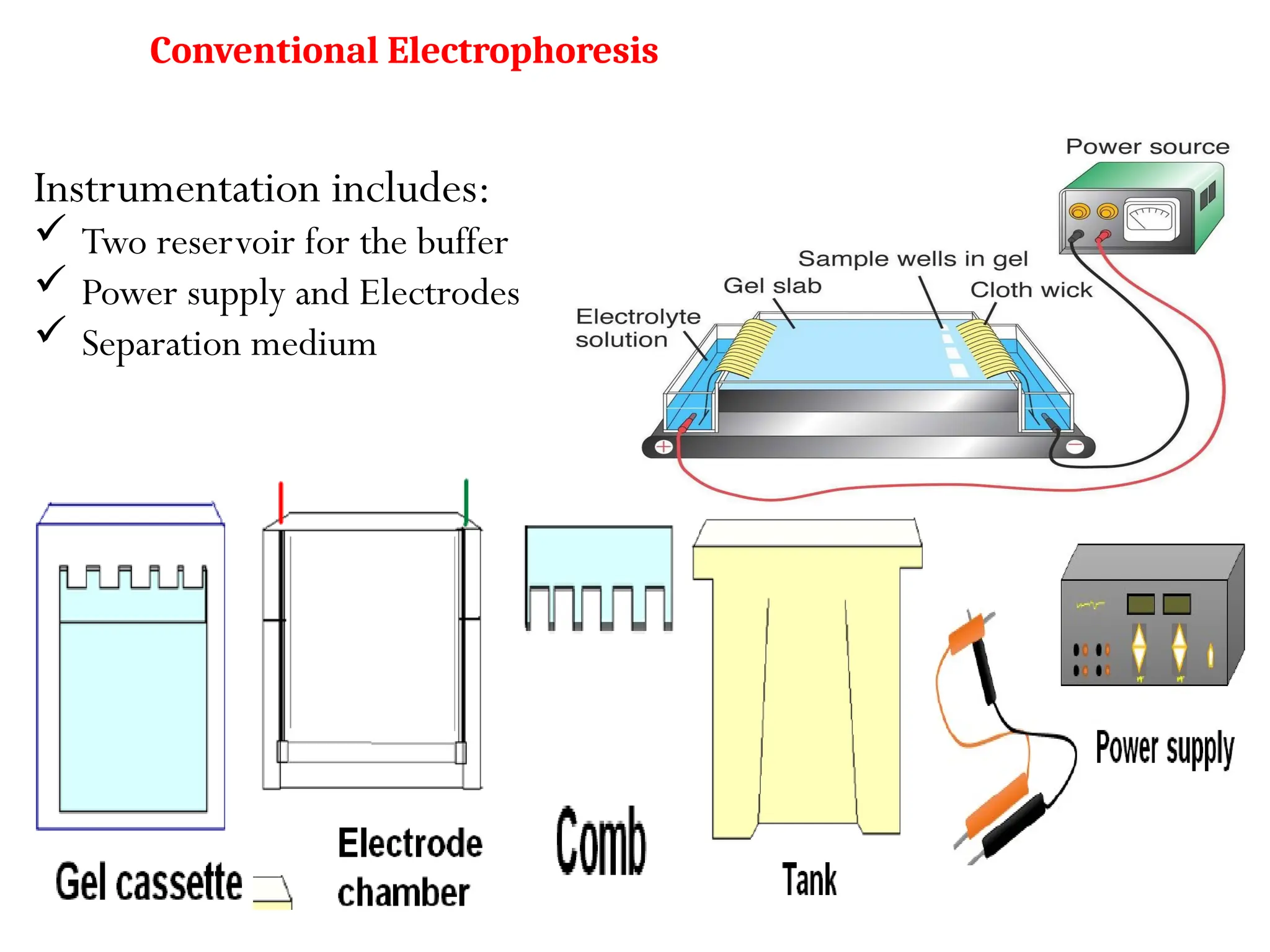 Electrophoresis. separation of proteins ppt | PPTX