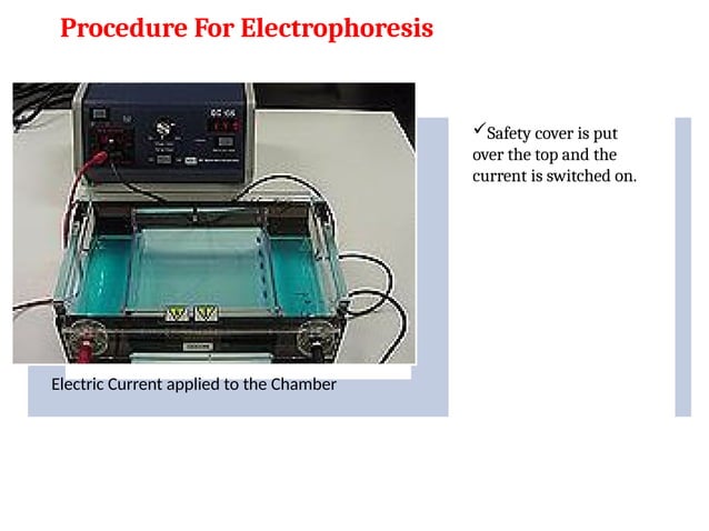Electrophoresis. separation of proteins ppt | PPTX | Chemistry | Science