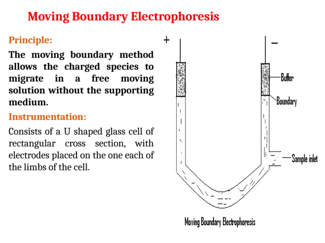 Electrophoresis. separation of proteins ppt | PPTX | Chemistry | Science