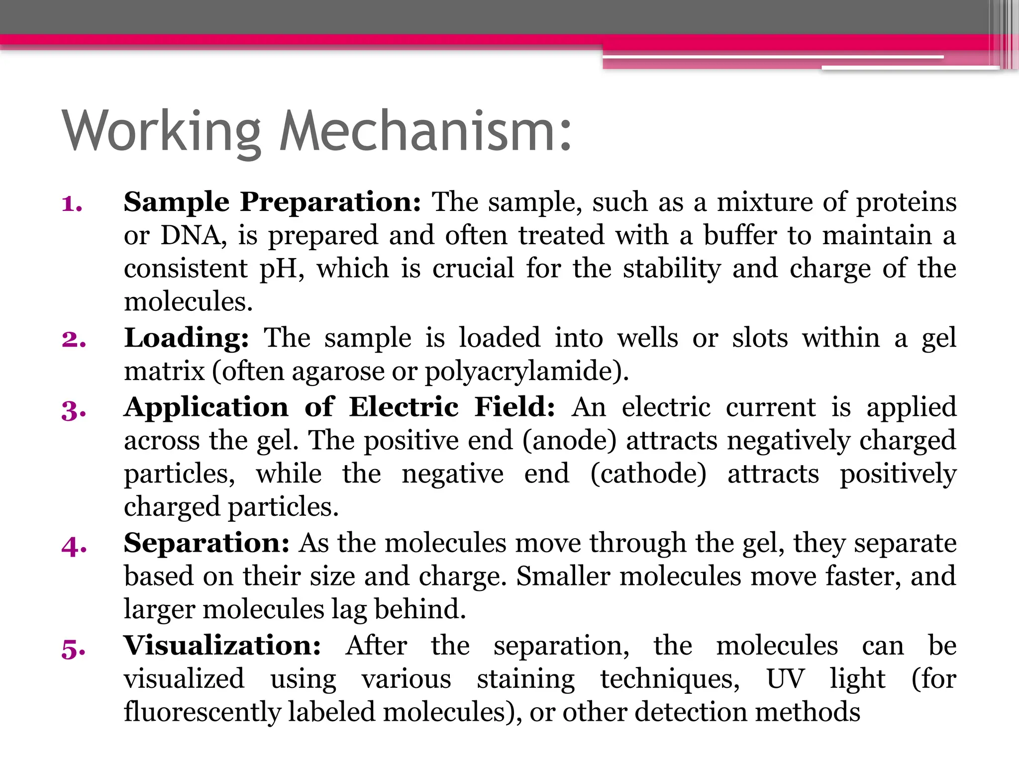 Laboratory technique used to separate charged molecules. | PPT