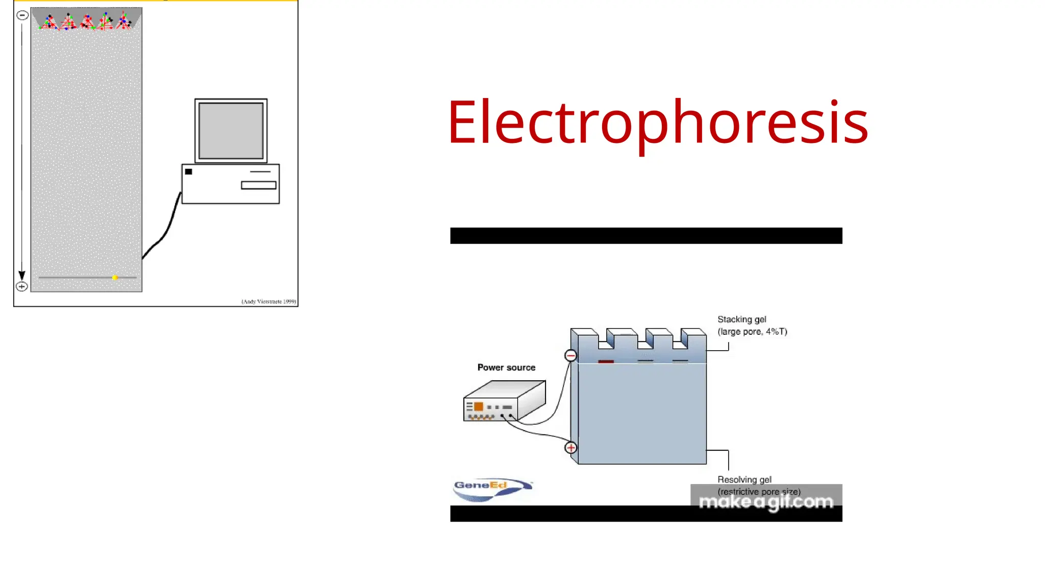 Electrophoresis basic principle and types.pptx