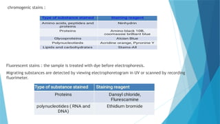 Electrophoresis in Pharmaceutical and Biomedical Sciences: Principles ...