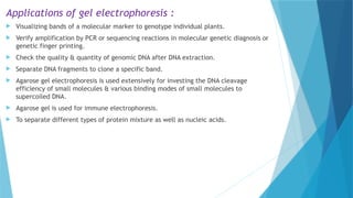 Electrophoresis in Pharmaceutical and Biomedical Sciences: Principles ...