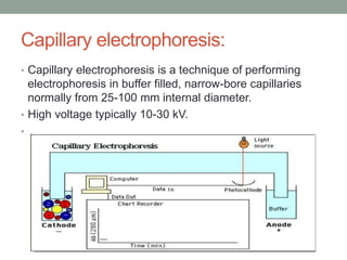 Electrophoresis | PPTX
