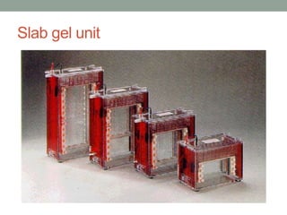 Electrophoresis | PPTX