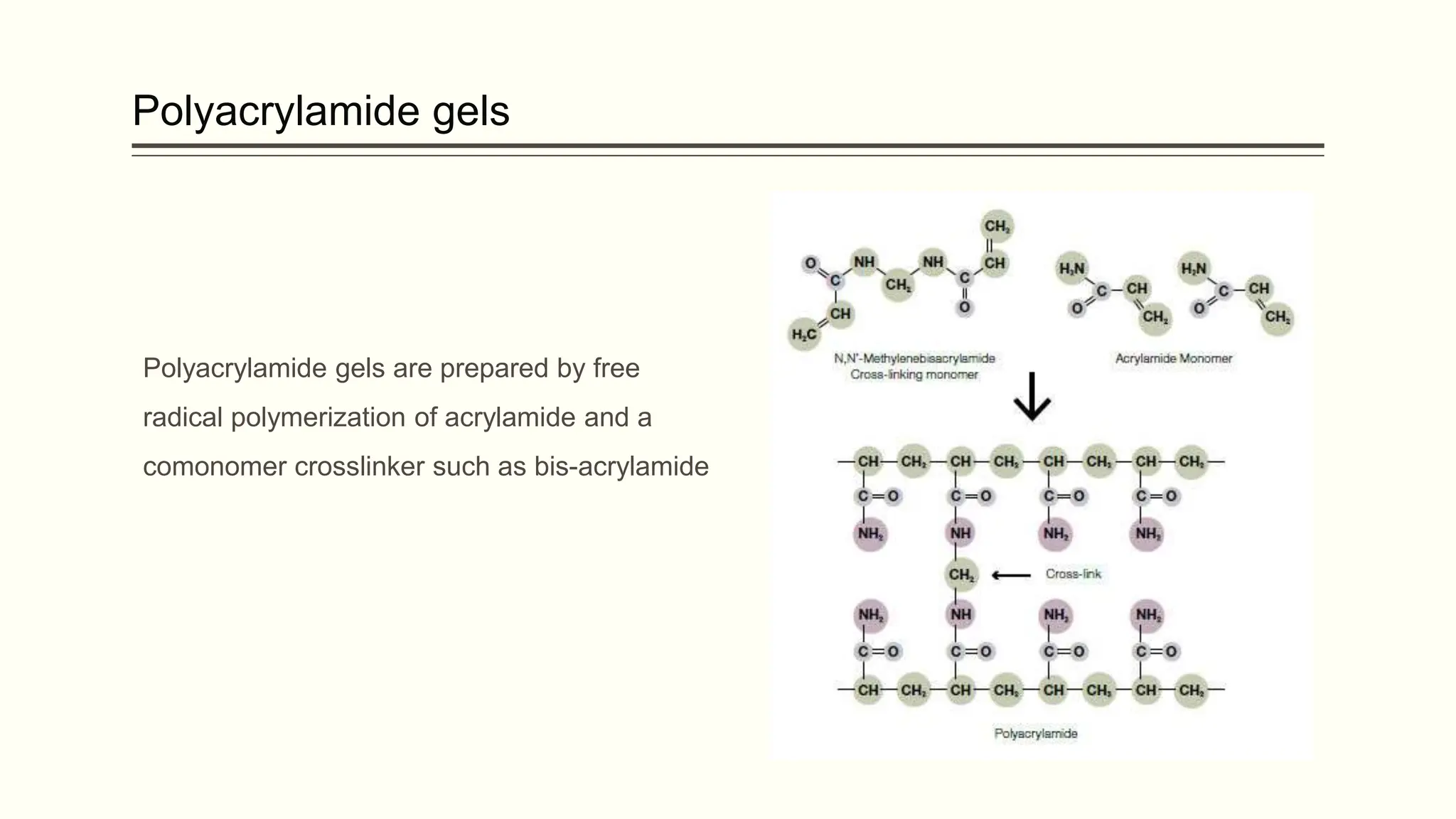 Electrophoresis and its types and its importance in Genetic engineering ...