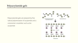 Electrophoresis | PPTX