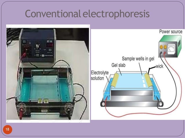 ELECTROPHORESIS -and its types ppt.pptx