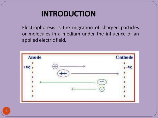ELECTROPHORESIS -and its types ppt.pptx
