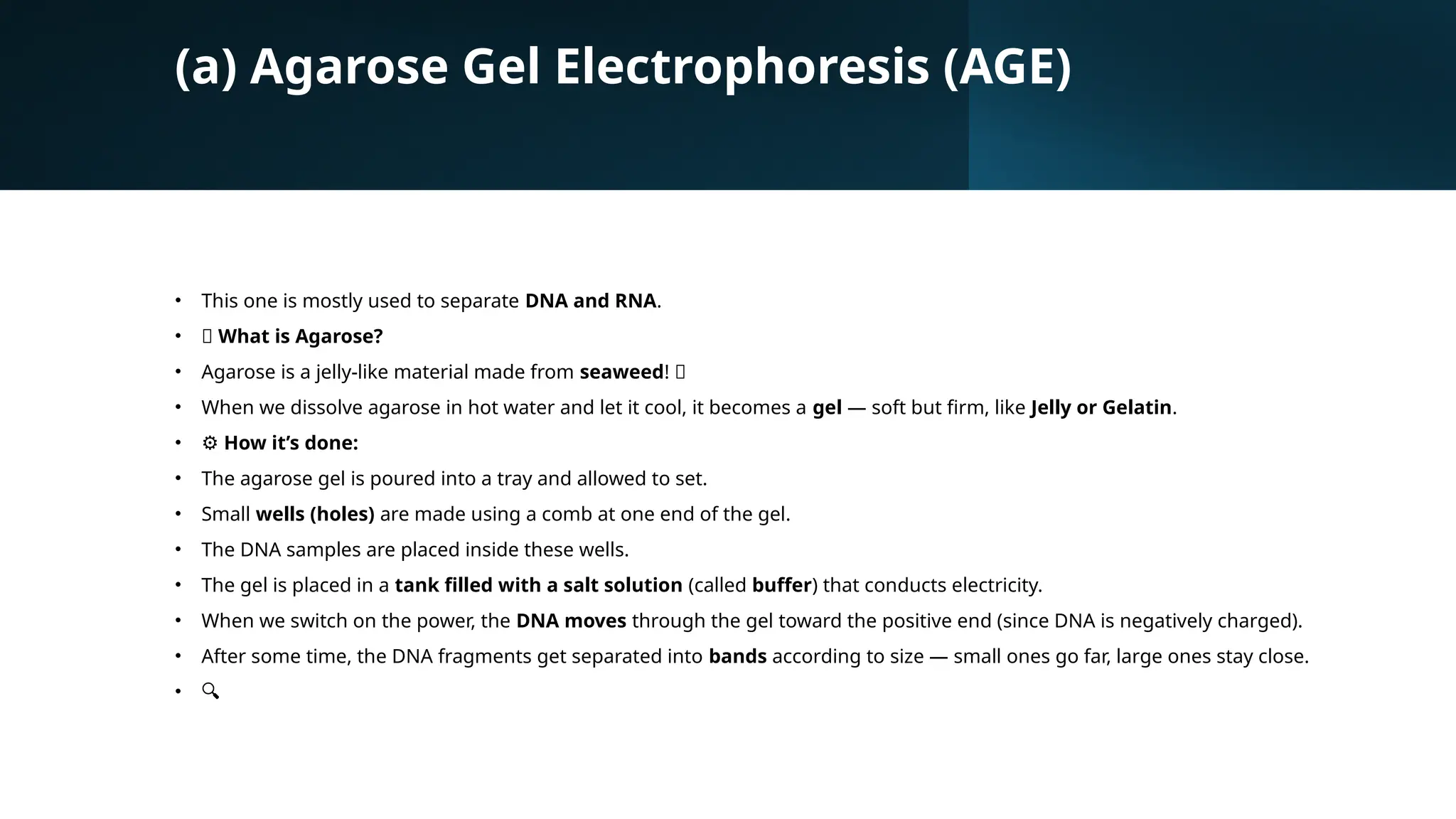 Electrophoresis-principle, types (AGE & PAGE) and applications.pptx
