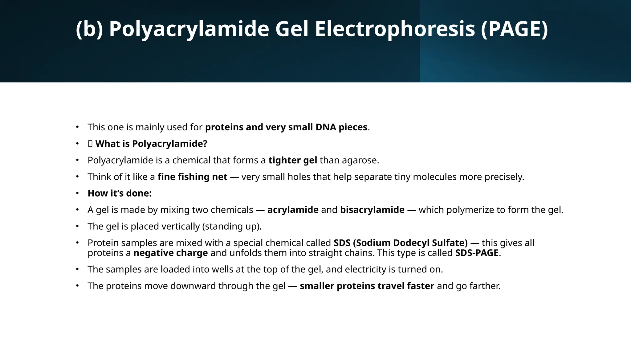 Electrophoresis-principle, types (AGE & PAGE) and applications.pptx