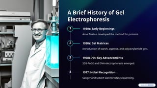 Electrophoresis defininition types procedure | PPT