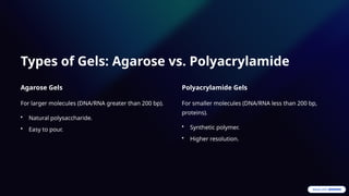 Electrophoresis defininition types procedure | PPT