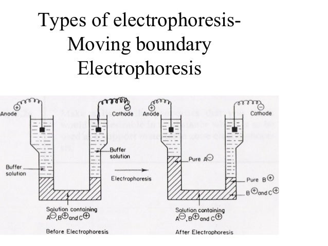 Electrophoresis (2)