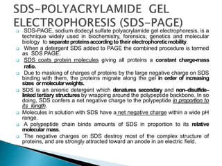 electrophoresis analysis ,.pptx