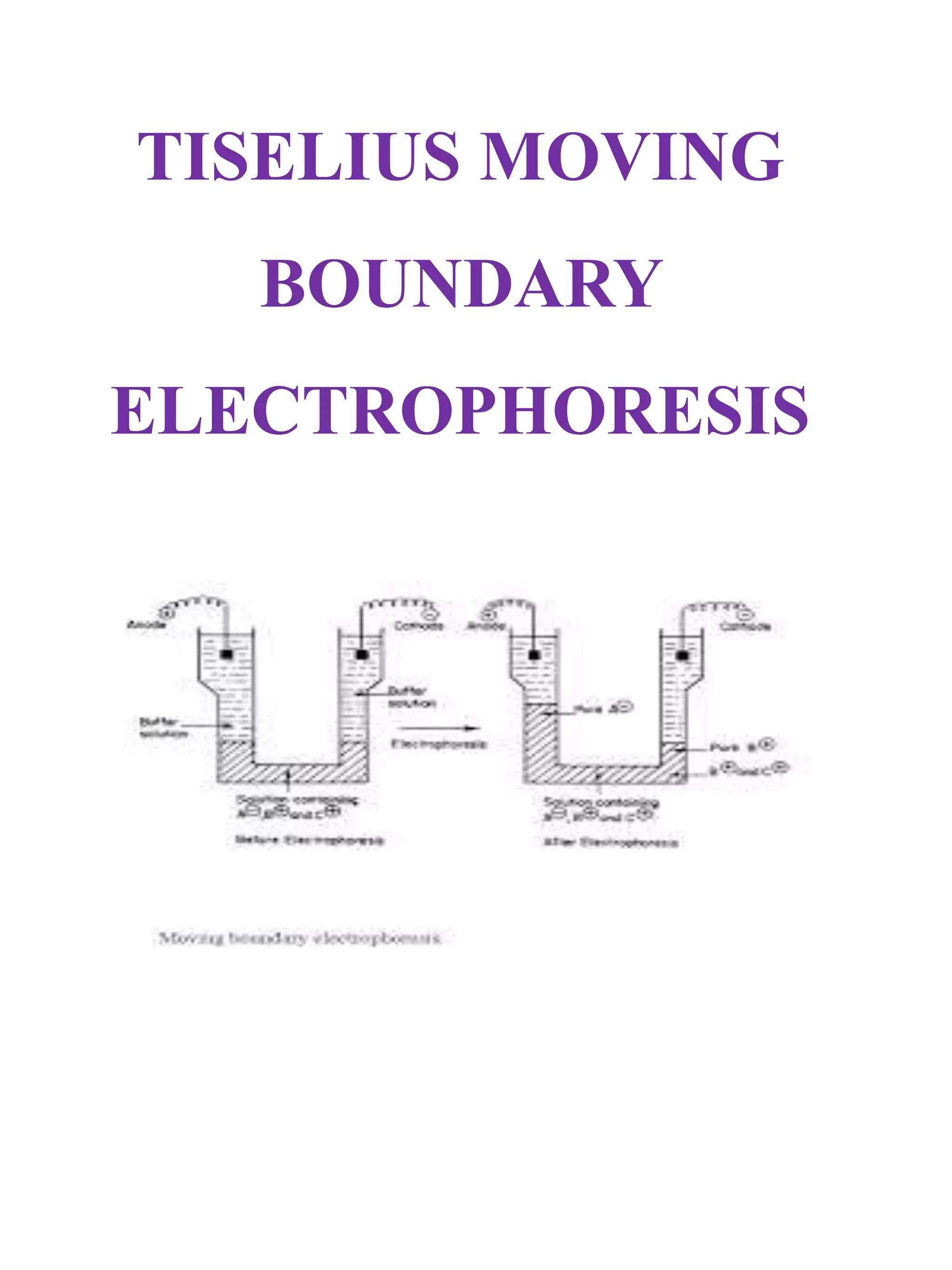 Electrophoresis and factors affecting electrophoresis | PPTX