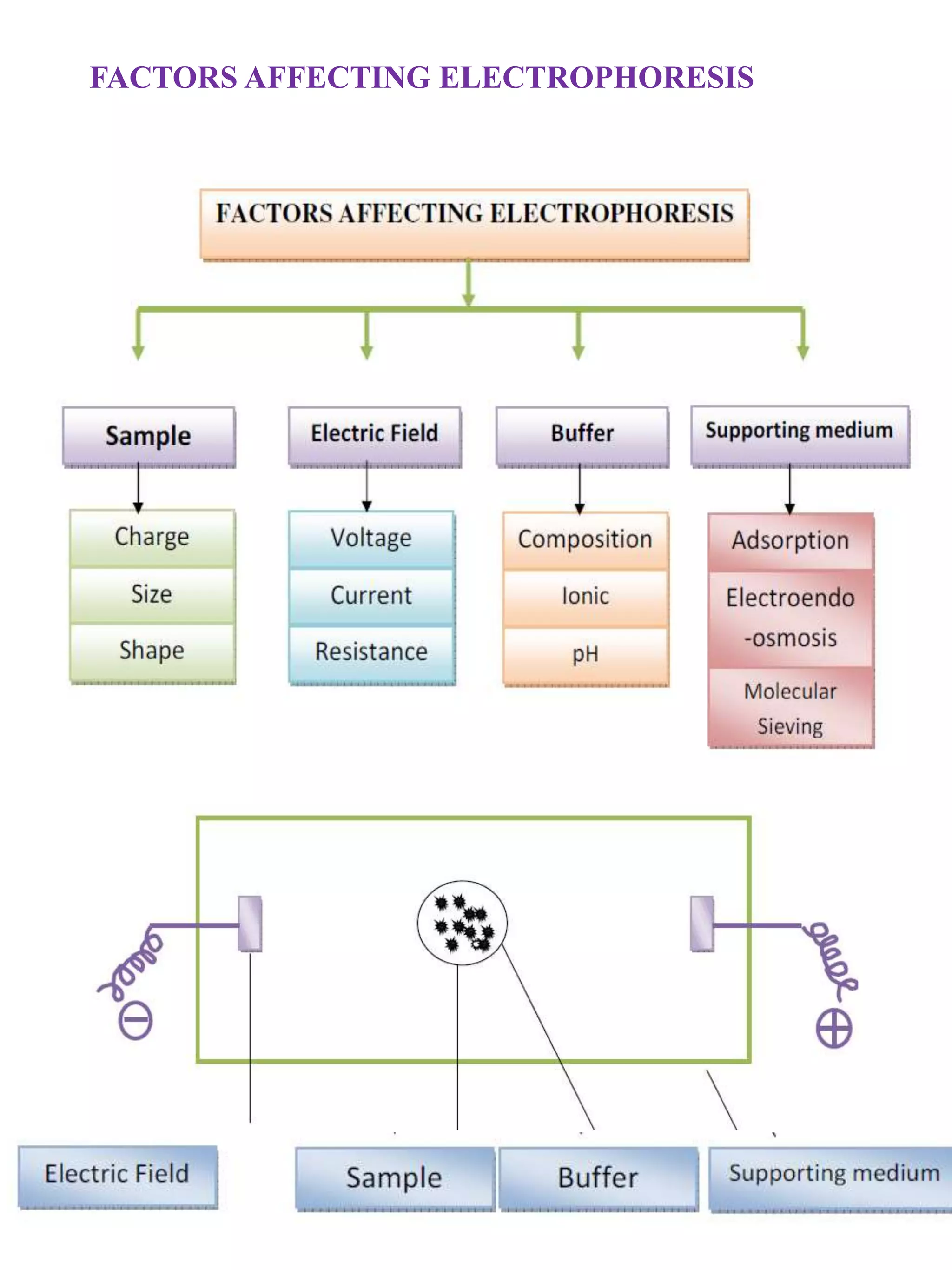 Electrophoresis and factors affecting electrophoresis | PPTX