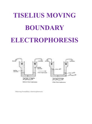 Electrophoresis and factors affecting electrophoresis | PPTX