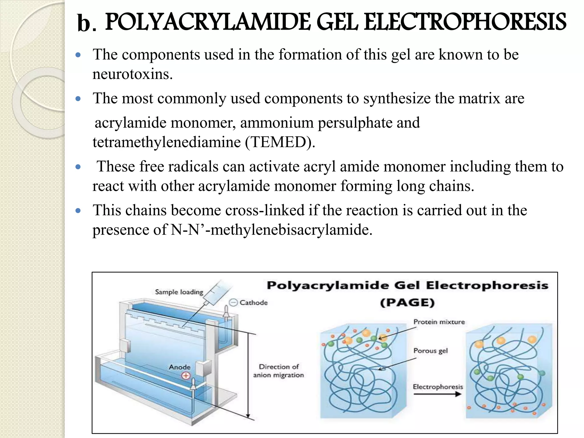 ELECTROPHORESIS AND ITS FORENSIC APPLICATIONS.pptx