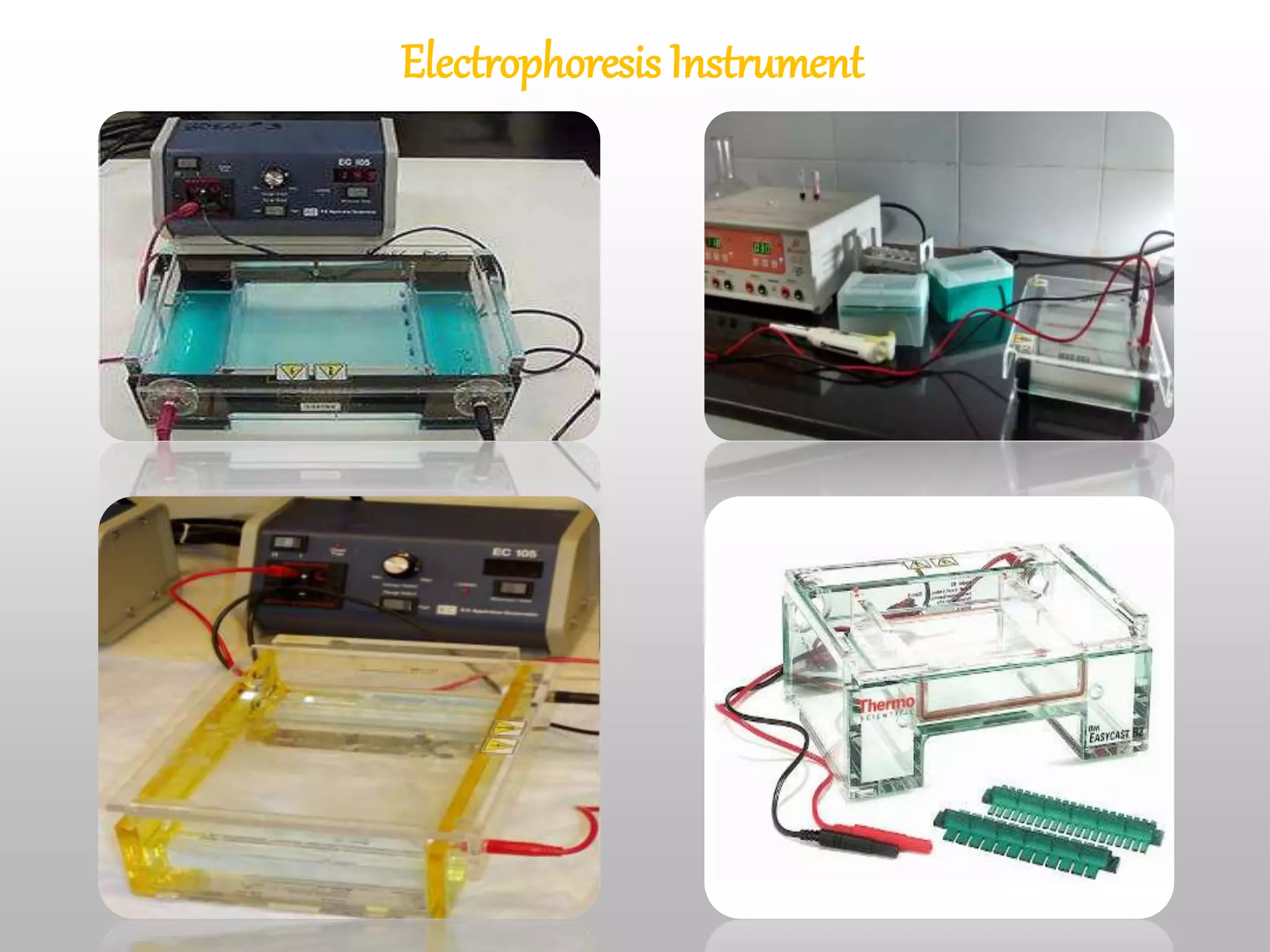 Electrophoresis and its types .pptx