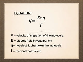 Electrophoresis- separation by charge migration | PPTX