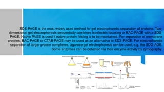 Applied Biochemistry | PPTX