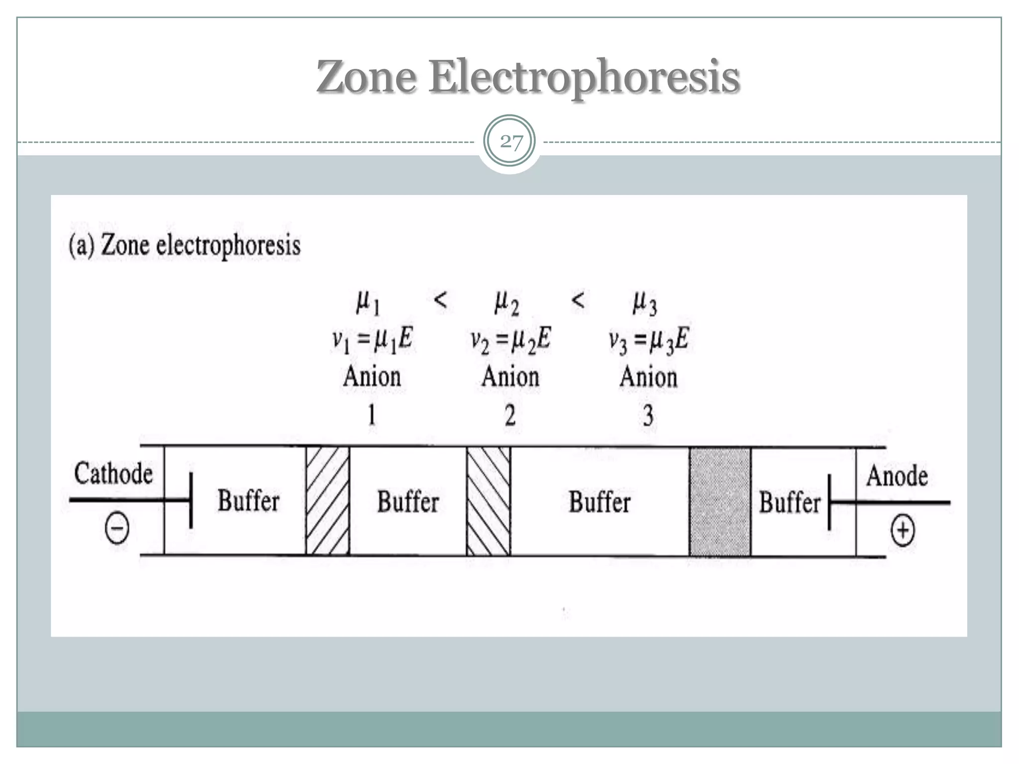 Electrophoresis ppt. | PPTX