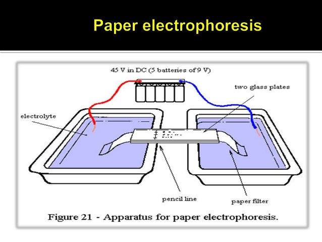 Electrophoresis for pgs by Dr siva kumar reddy Electrophoresis for pgs by Dr siva kumar reddy