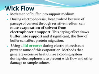 Electrophoresis | PPTX