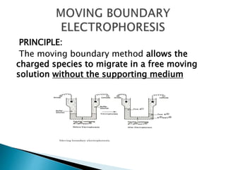 Electrophoresis & its types | PPTX