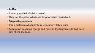 ELECTROPHORESIS kaif.pptx