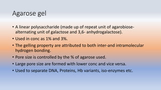 ELECTROPHORESIS kaif.pptx
