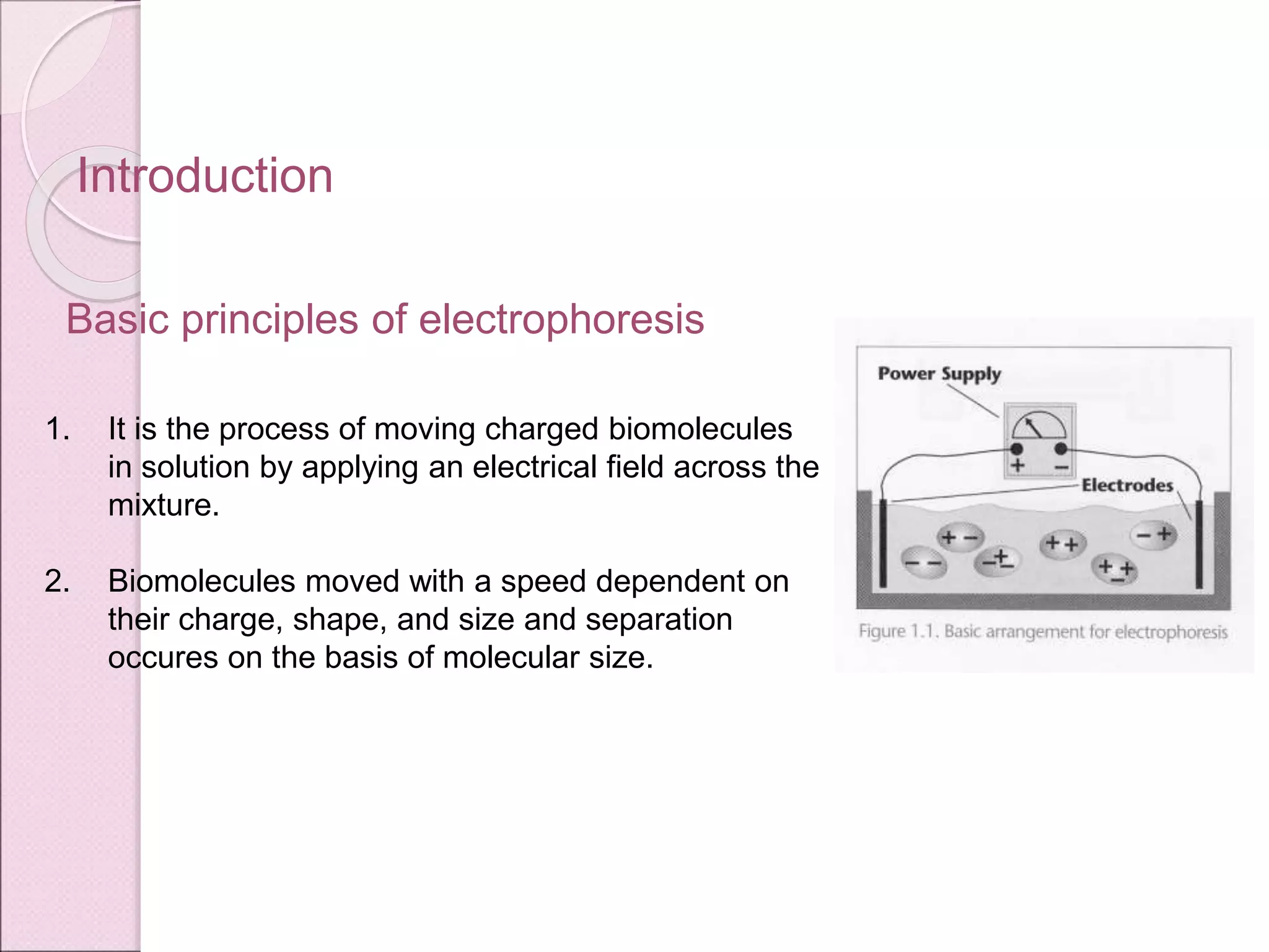 Electrophoresis 2015 | PPT