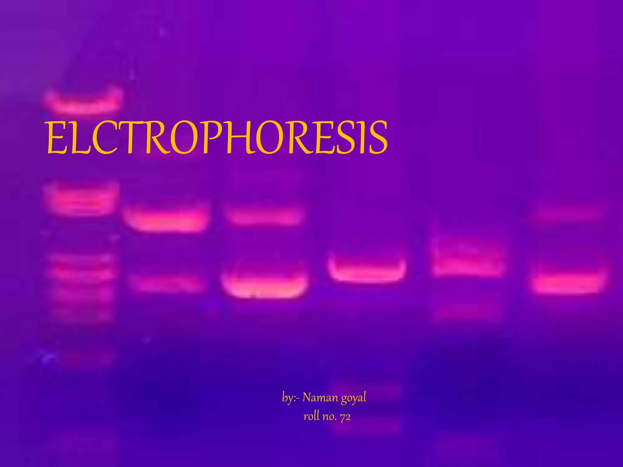 Electrophoresis | PPTX | Chemistry | Science
