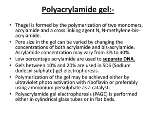 Electrophoresis ppt.pptx