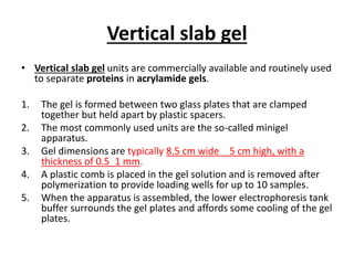 Electrophoresis ppt.pptx