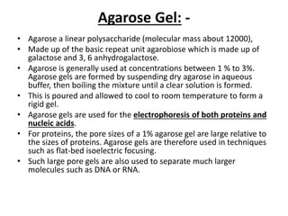 Electrophoresis ppt.pptx