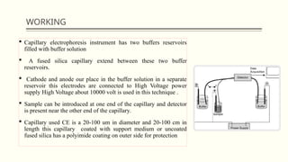 INTRODUCTION TO ELECTROPHORESIS :PRINCIPLES , INSTRUMENTATION AND ...