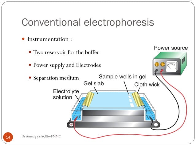 Electrophoresis principle and types by Dr. Anurag Yadav | PDF ...