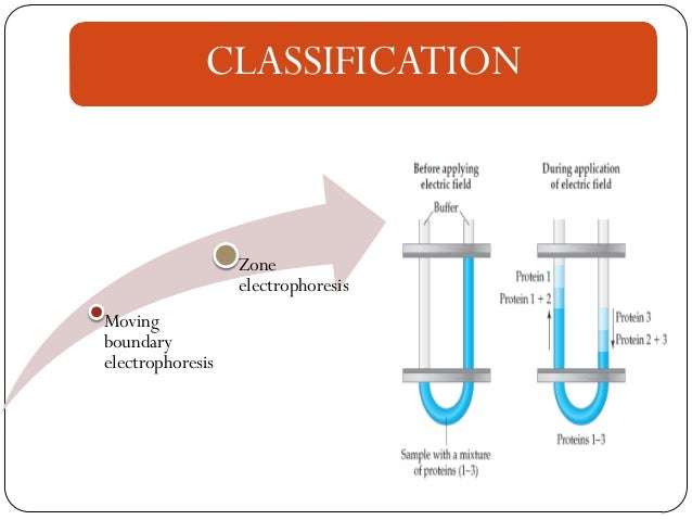 Electrophoresis principle and types by Dr. Anurag Yadav Electrophoresis principle and types by Dr. Anurag Yadav