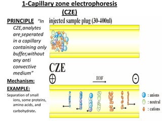 Electrophoresis , principles and application | PDF