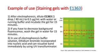 Electrophoresis Reagents | PPTX | Chemistry | Science