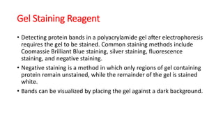 Electrophoresis Reagents | PPTX