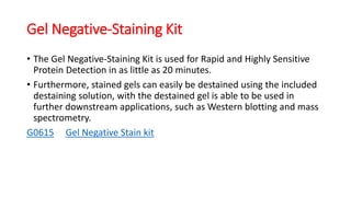 Electrophoresis Reagents | PPTX