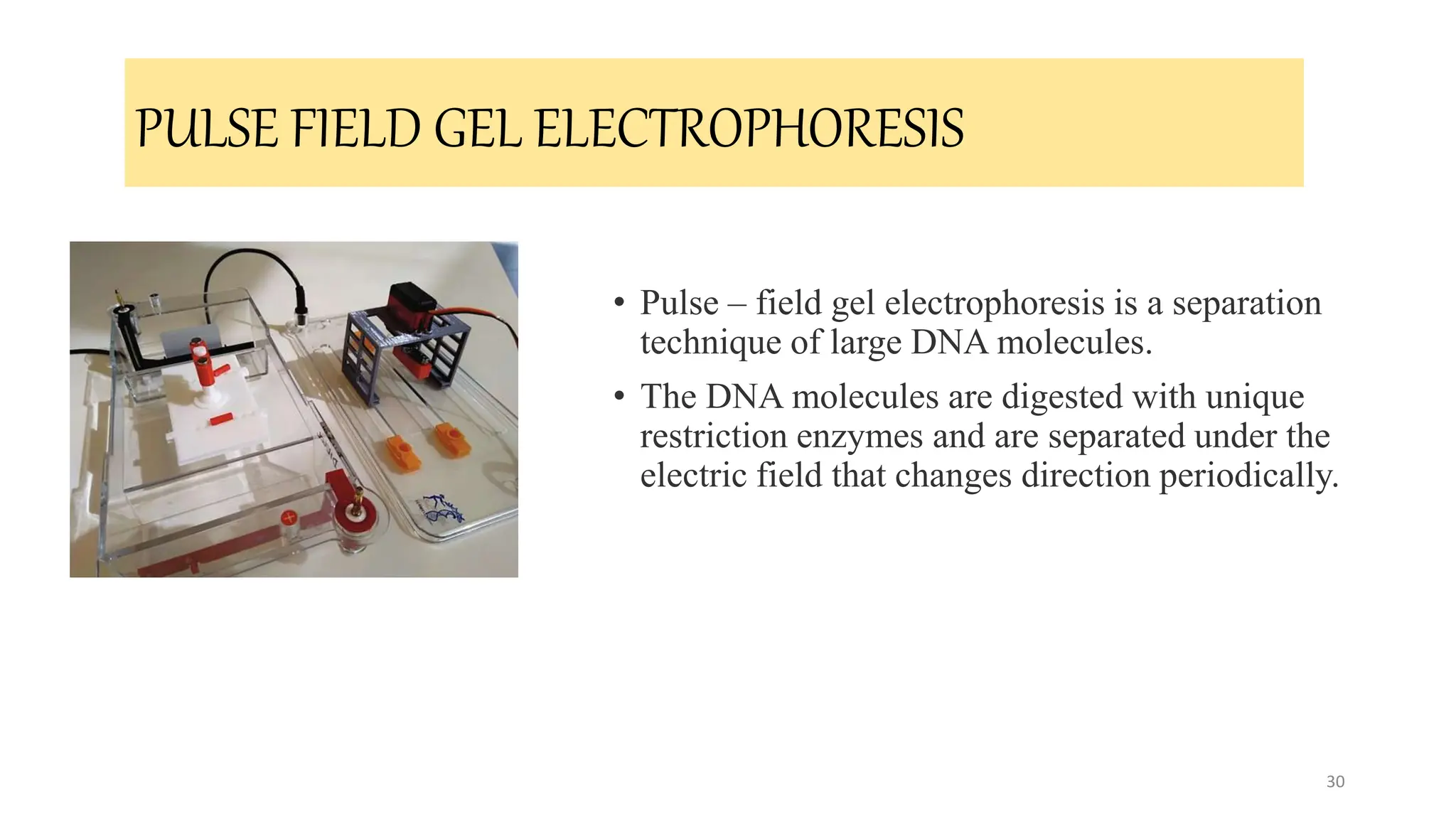 electrophoresis: types, advantages, disadvantages and applications. | PPTX