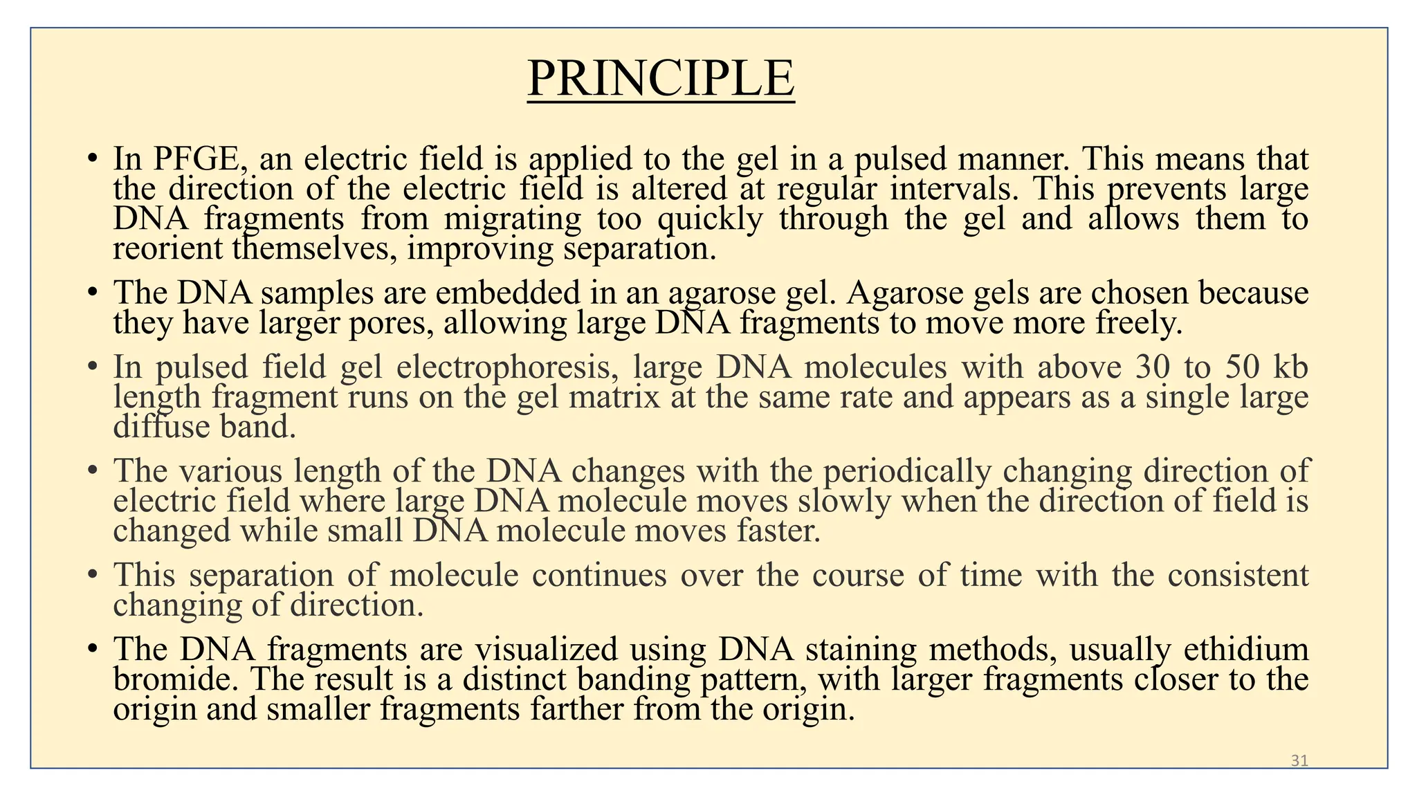 electrophoresis: types, advantages, disadvantages and applications. | PPTX