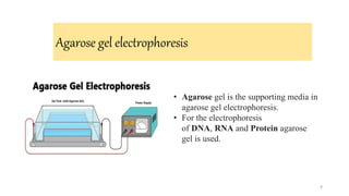electrophoresis: types, advantages, disadvantages and applications. | PPTX